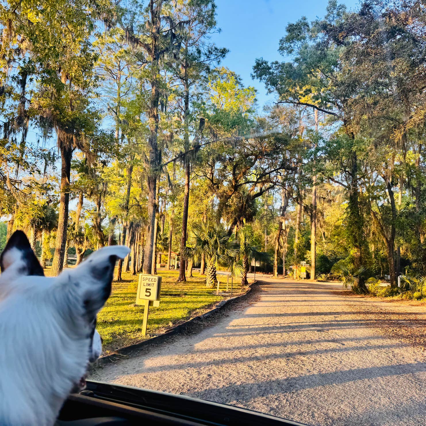 Blythe Island Regional Park Camping | Brunswick, Georgia