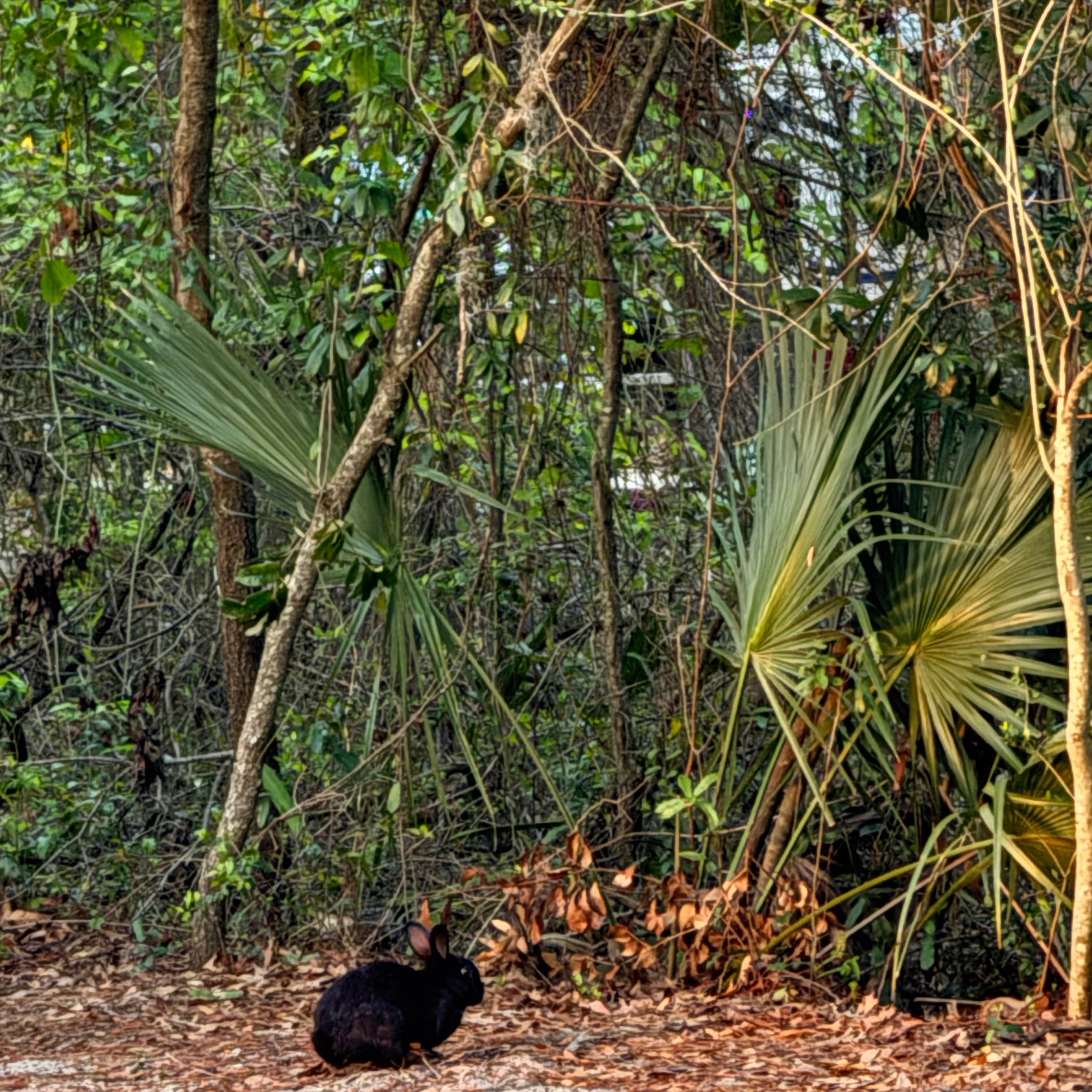 Blythe Island Regional Park Camping | Brunswick, Georgia