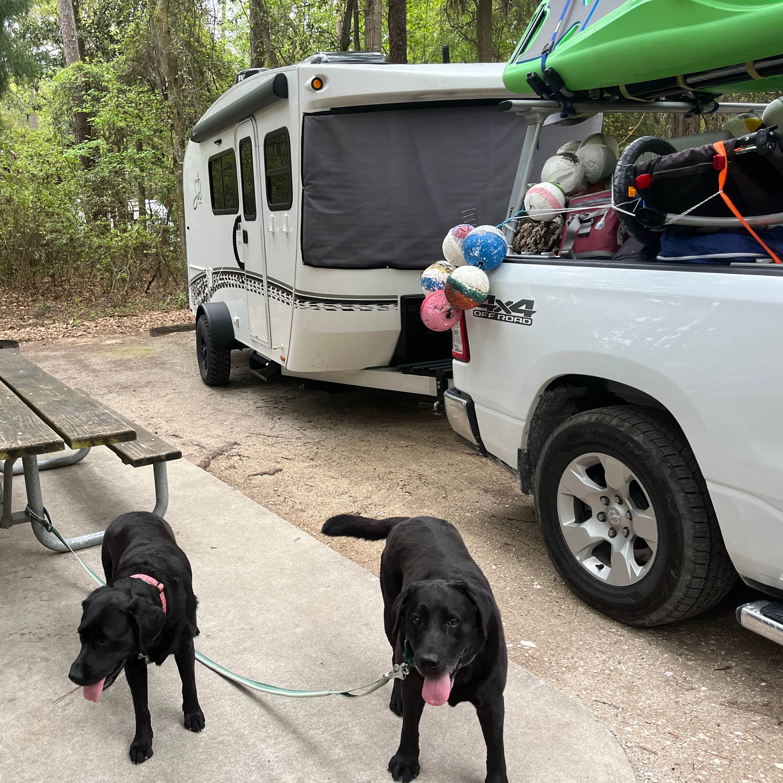 Blythe Island Regional Park Camping | Brunswick, Georgia