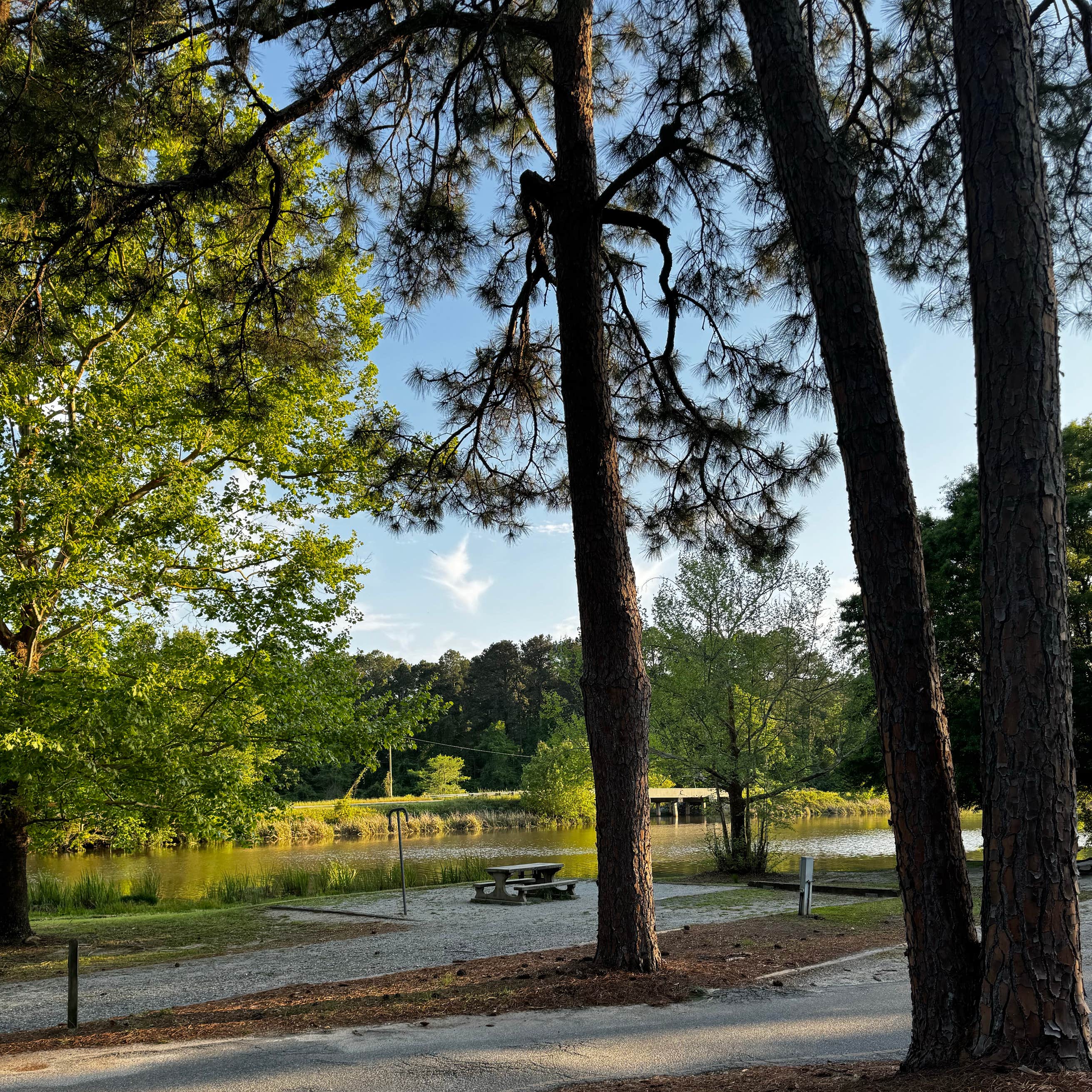 Georgia Veterans State Park Campground | Cordele, Georgia