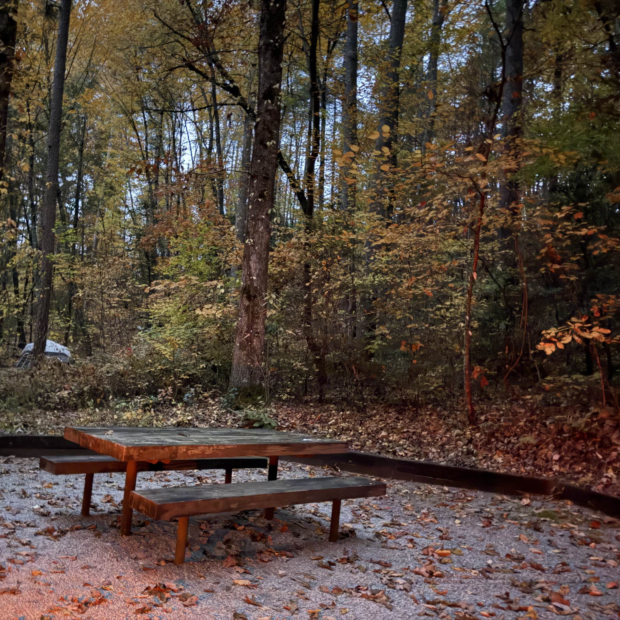 Lake Rabun Beach Recreation Area Camping | Lakemont, Georgia