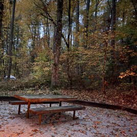 Lake Rabun Beach Recreation Area Camping | Lakemont, Georgia