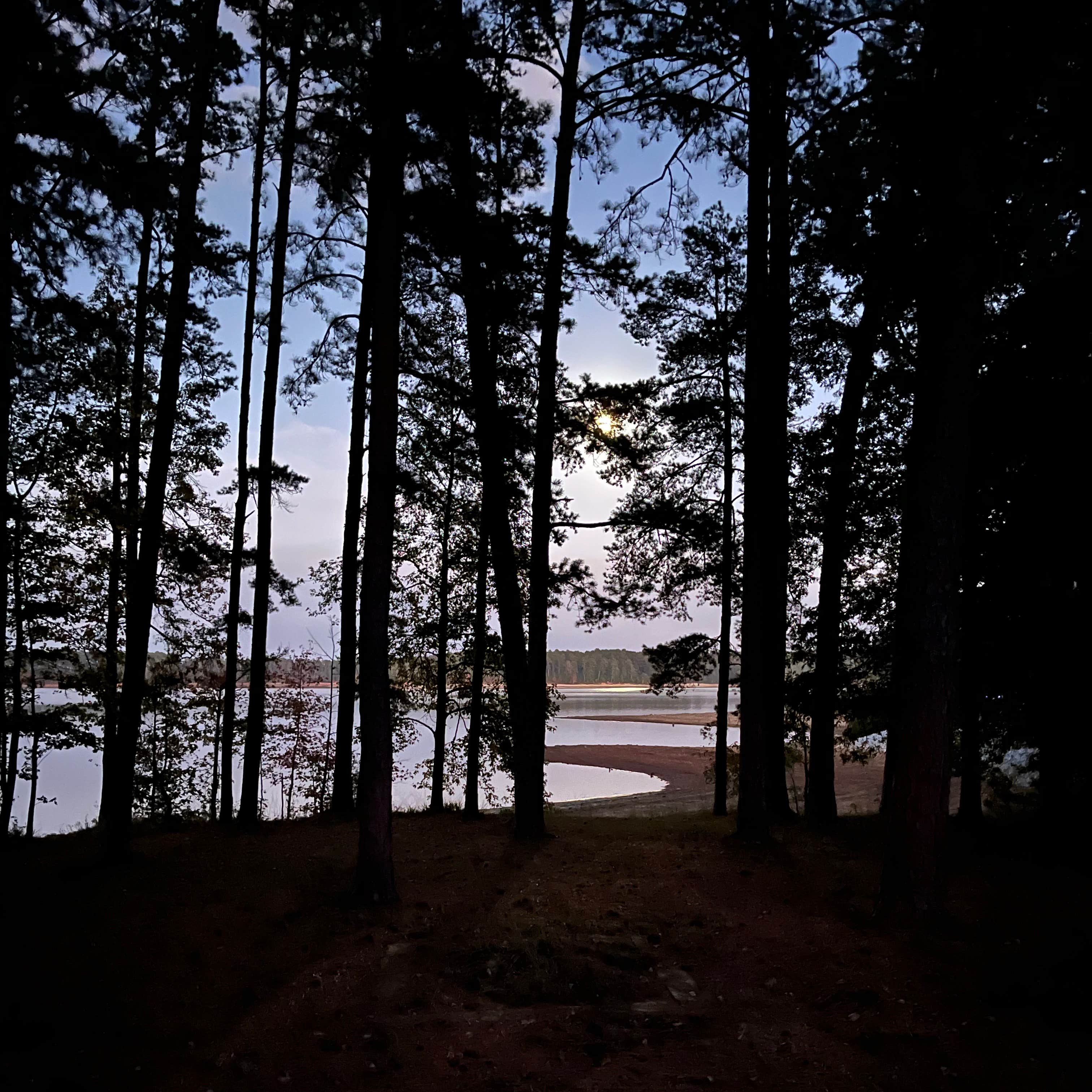 Mistletoe State Park Campground | Appling, Georgia