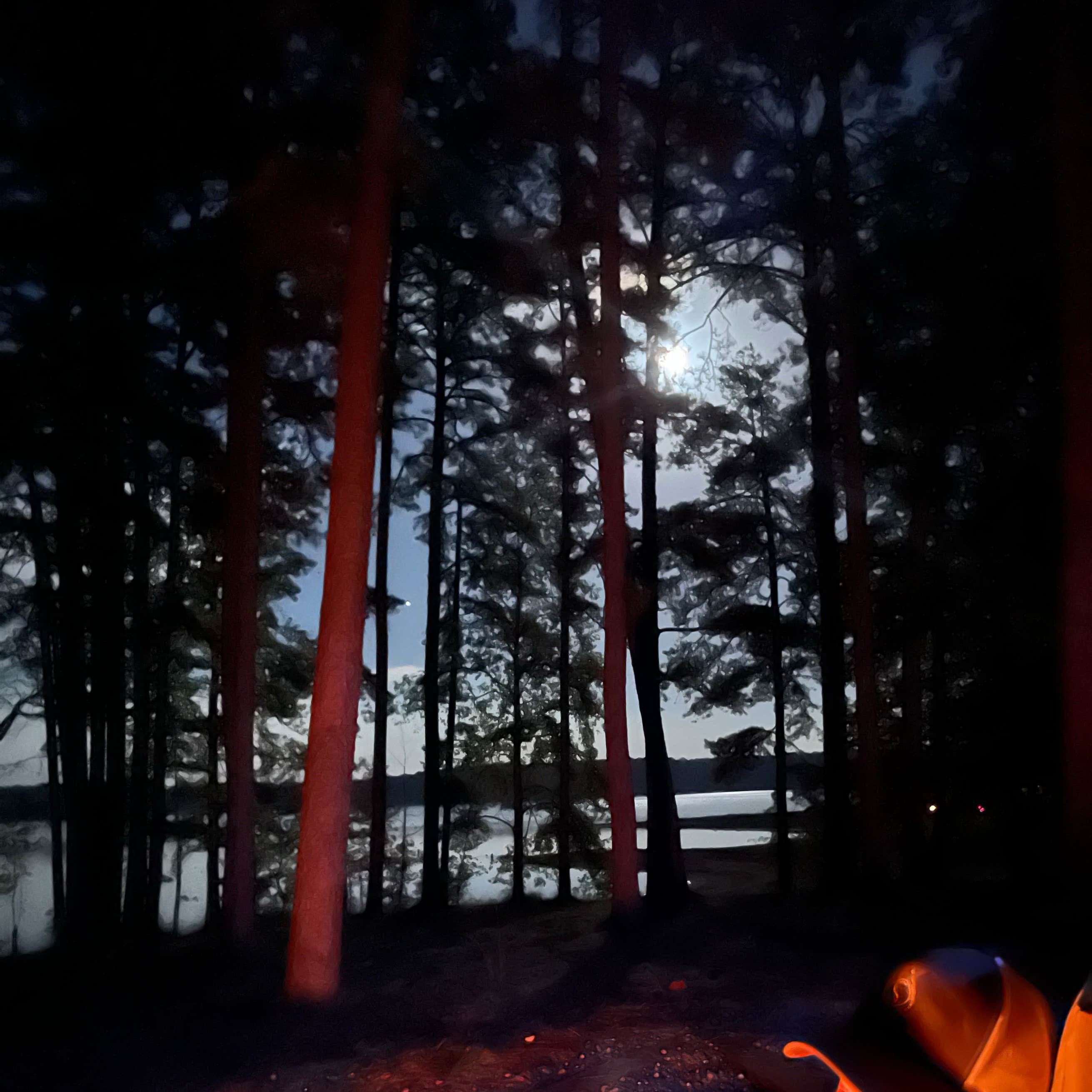Mistletoe State Park Campground | Appling, Georgia