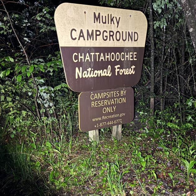 Mulky Campground | Suches, Georgia