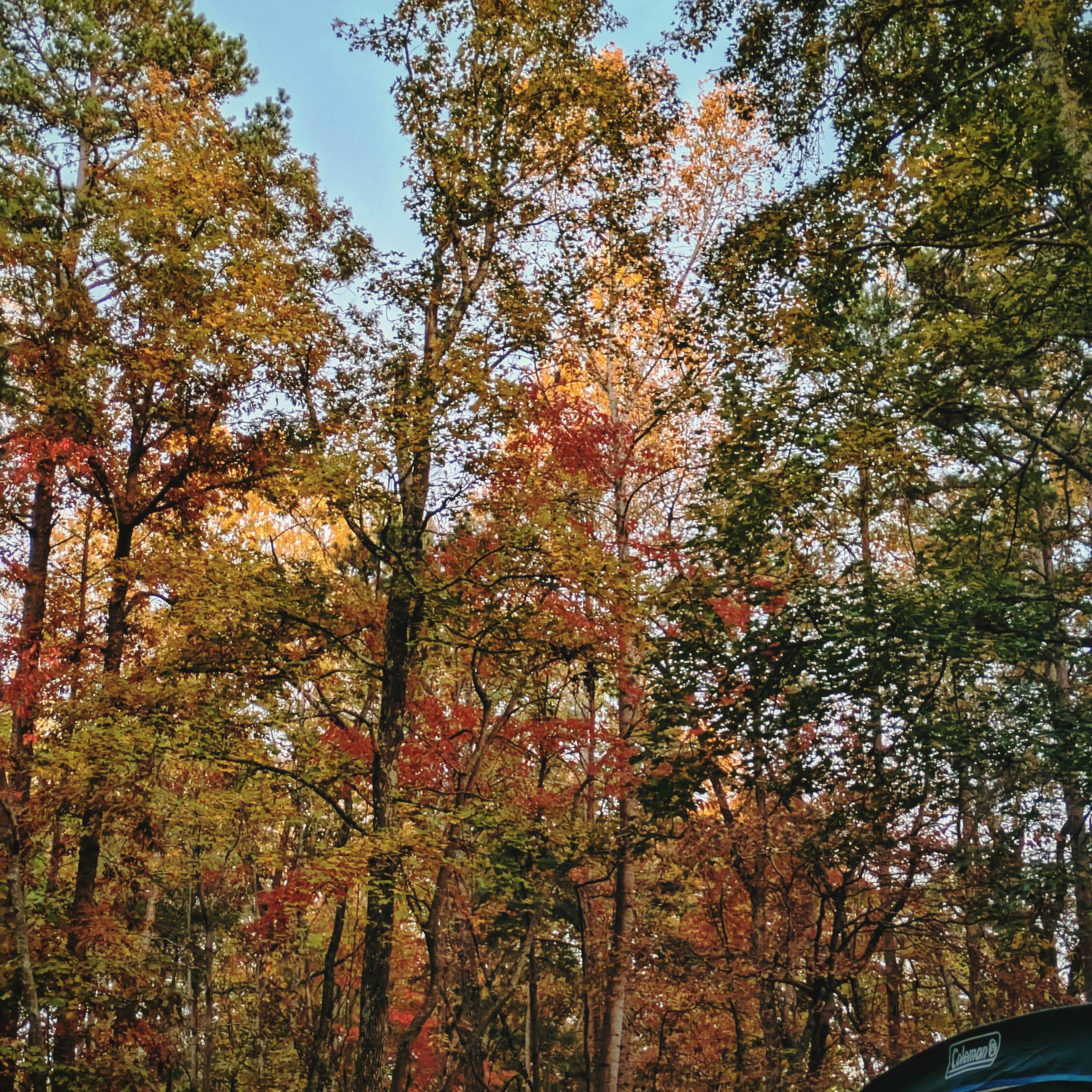 Shady Grove Campground | Cumming, Georgia