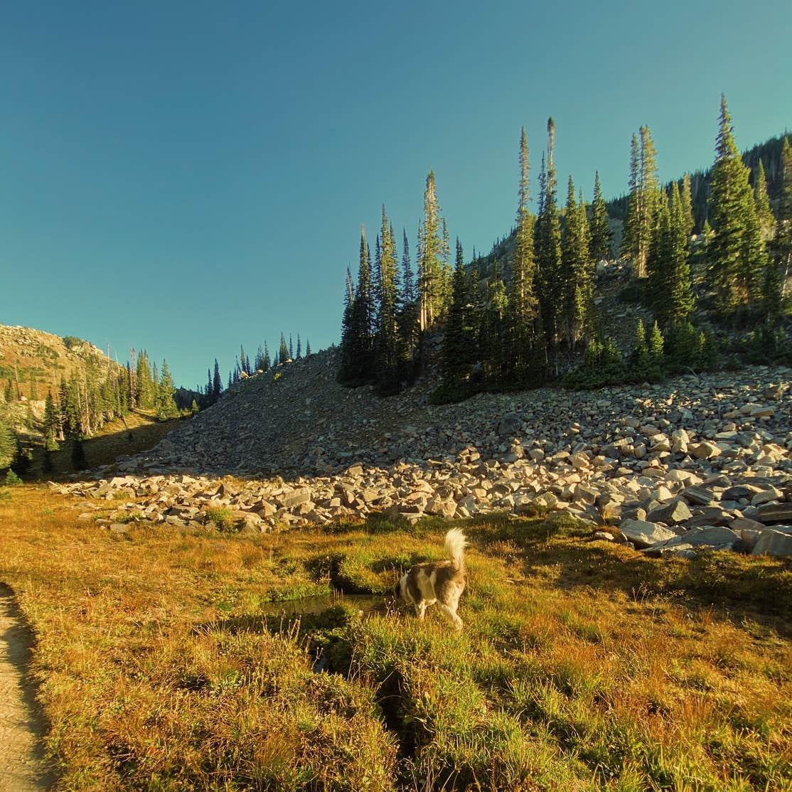 gilpin lake Camping | Clark, Colorado