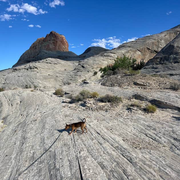 Glen Canyon NRA Wildcat Tank dispersed Camping | Big Water, AZ