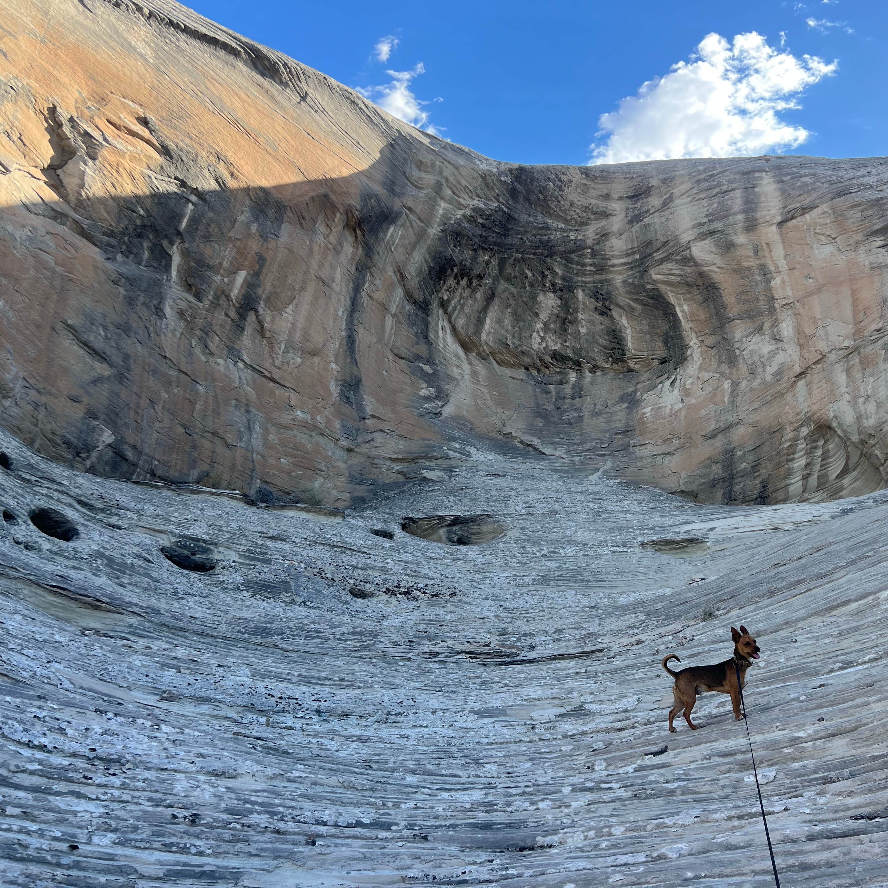 Glen Canyon NRA Wildcat Tank dispersed Camping | Big Water, Utah