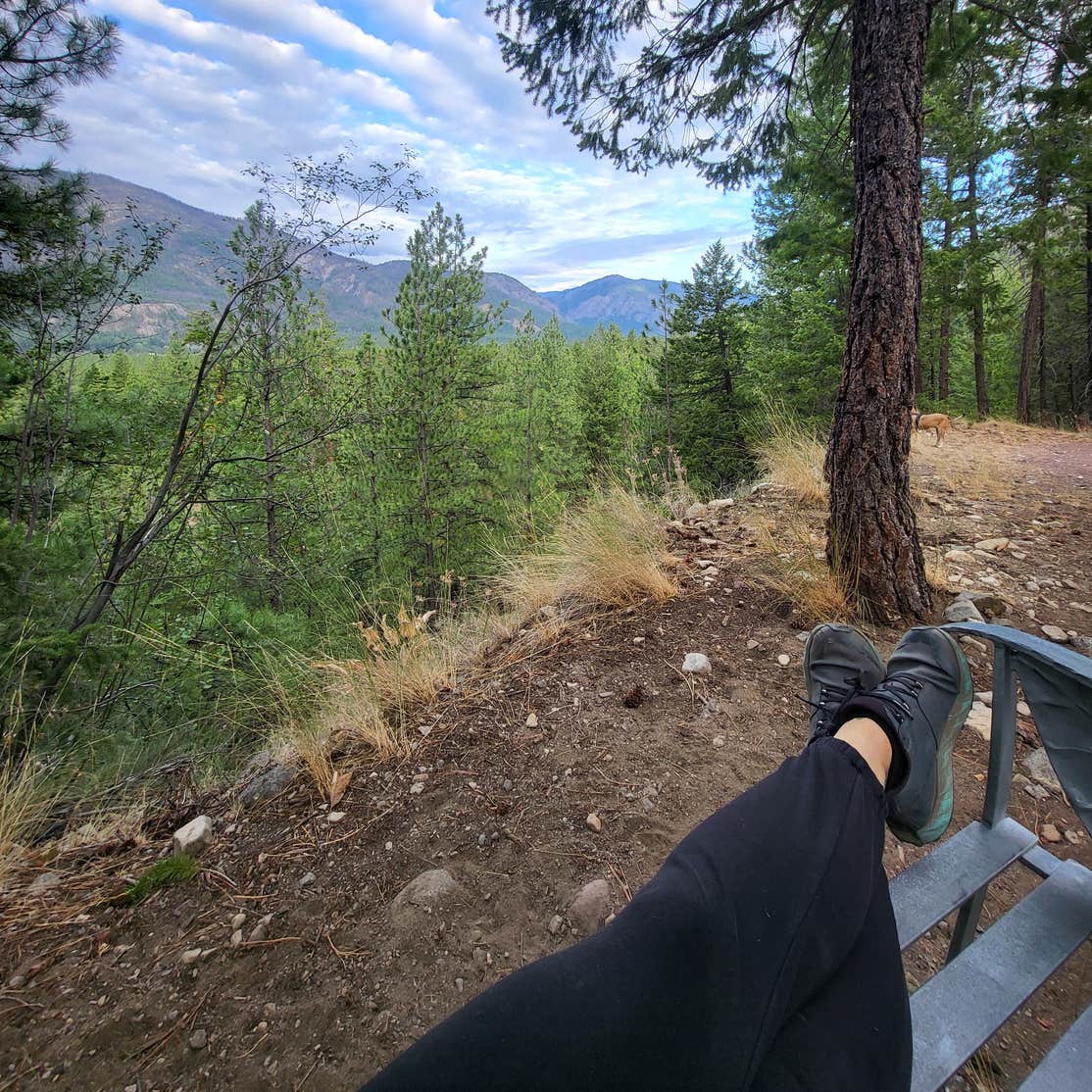 Goat Creek Sno-Park Camping | Mazama, Washington
