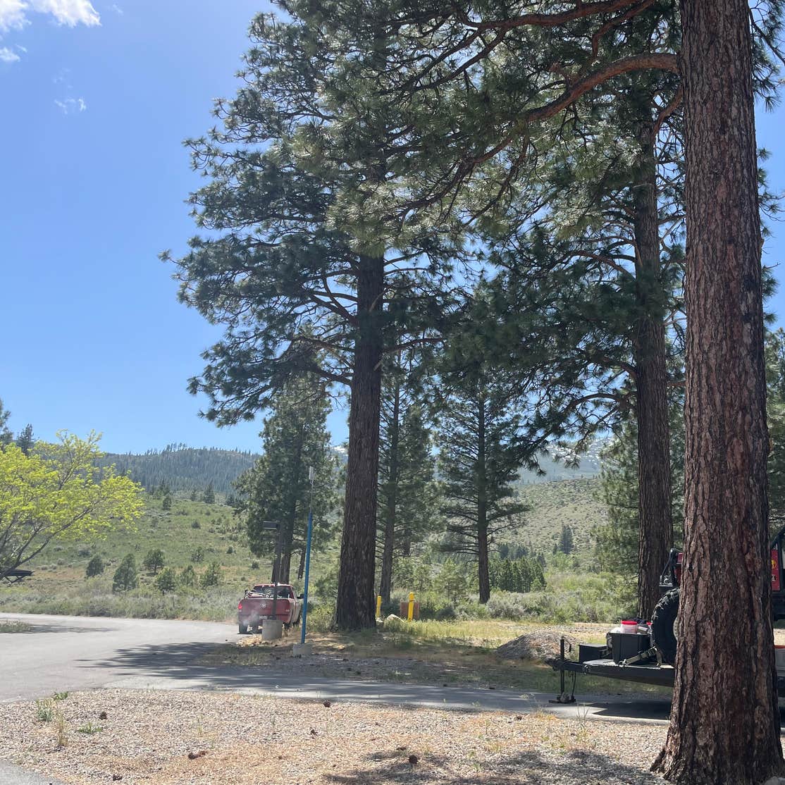 Gold Ranch Casino & RV Resort | Verdi, Nevada