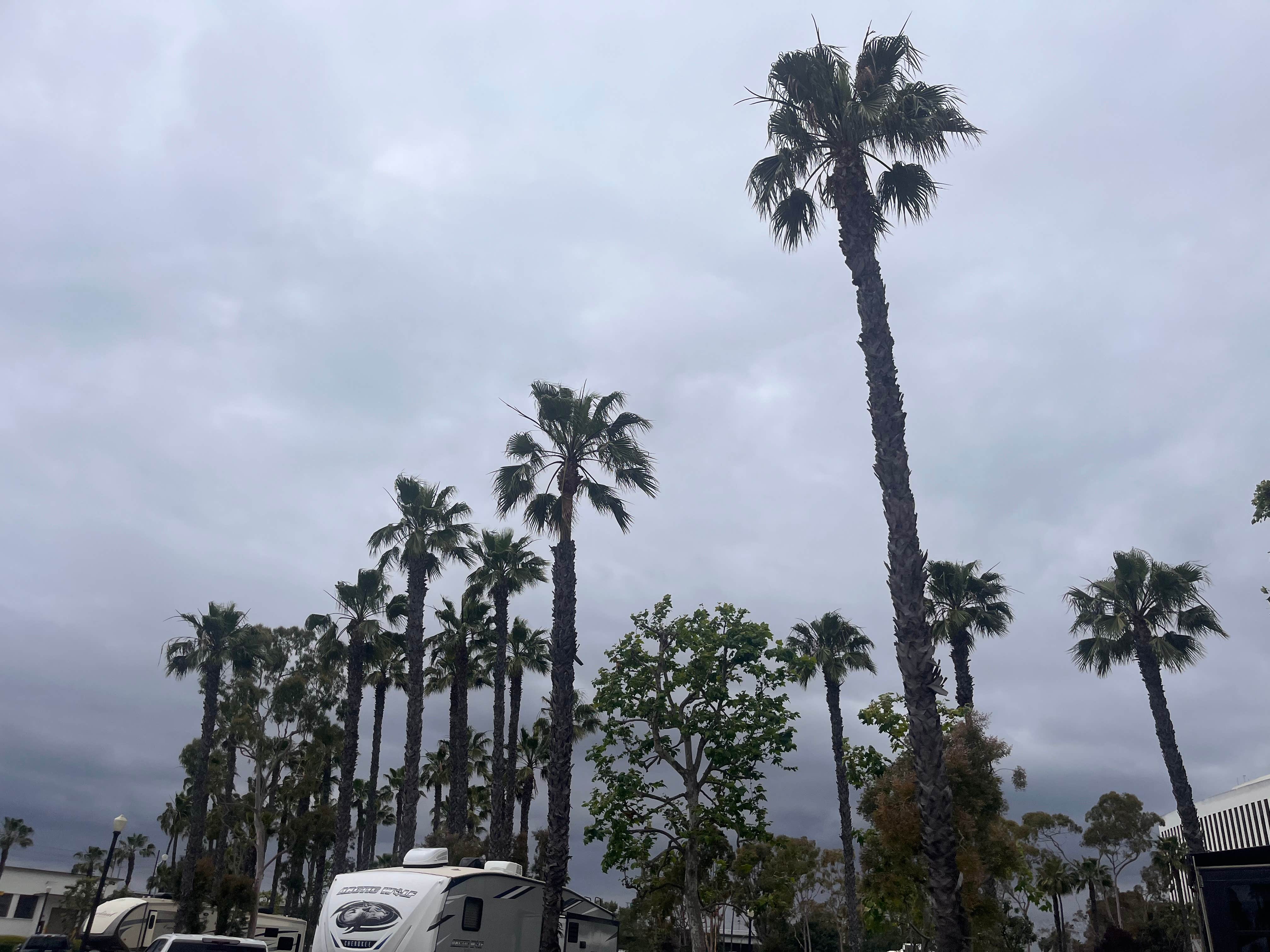 THE 10+ BEST Campgrounds near Long Beach, CA