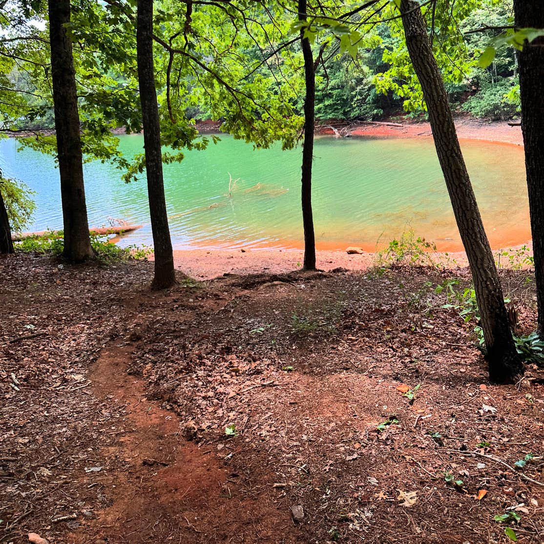 COE Philpott Lake Goose Point Park Camping | Henry, Virginia