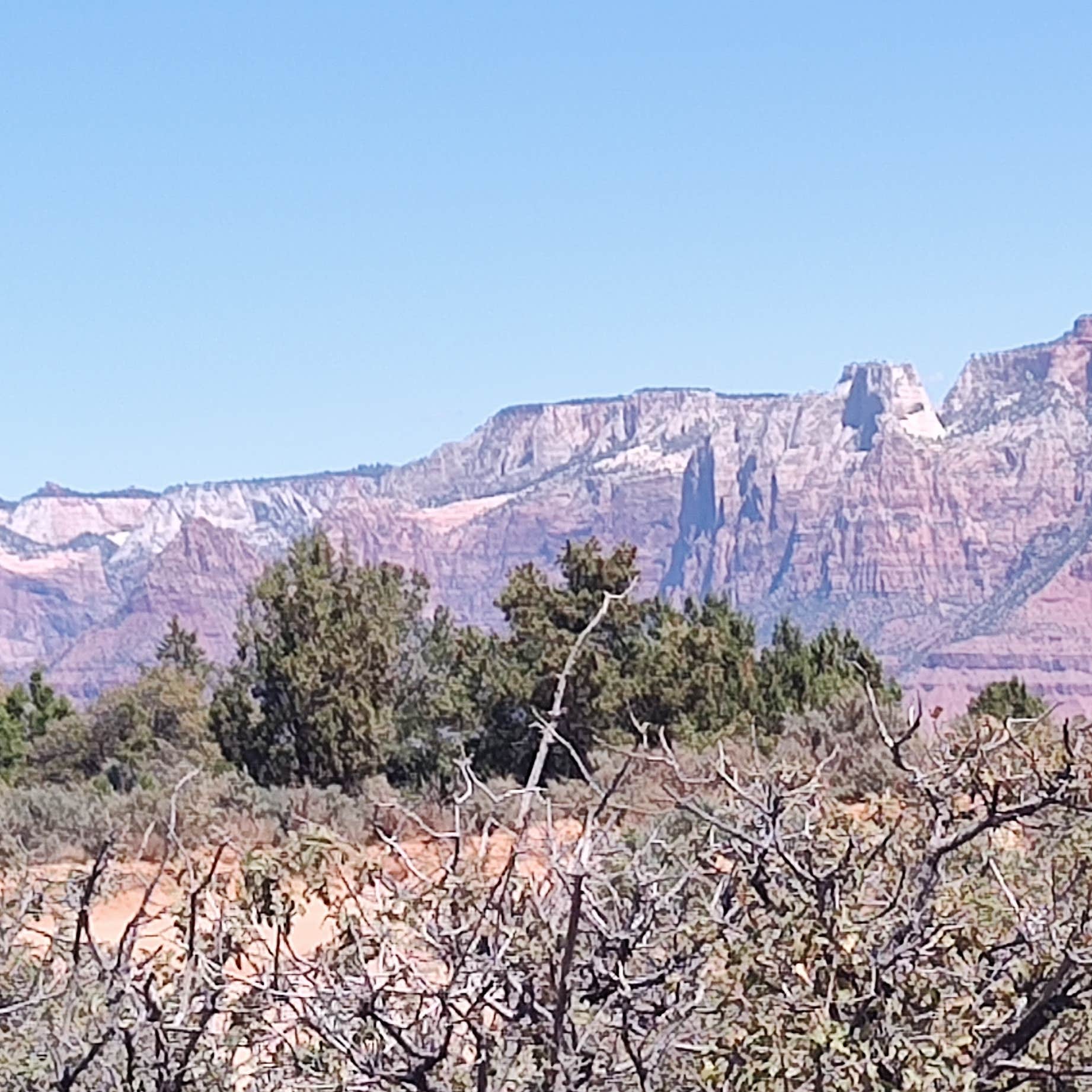 Gooseberry Mesa Camping | Rockville, Utah
