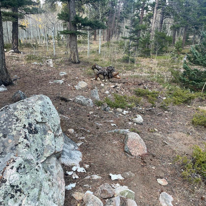 Gordon Gulch Dispersed Area Camping | Nederland, Colorado