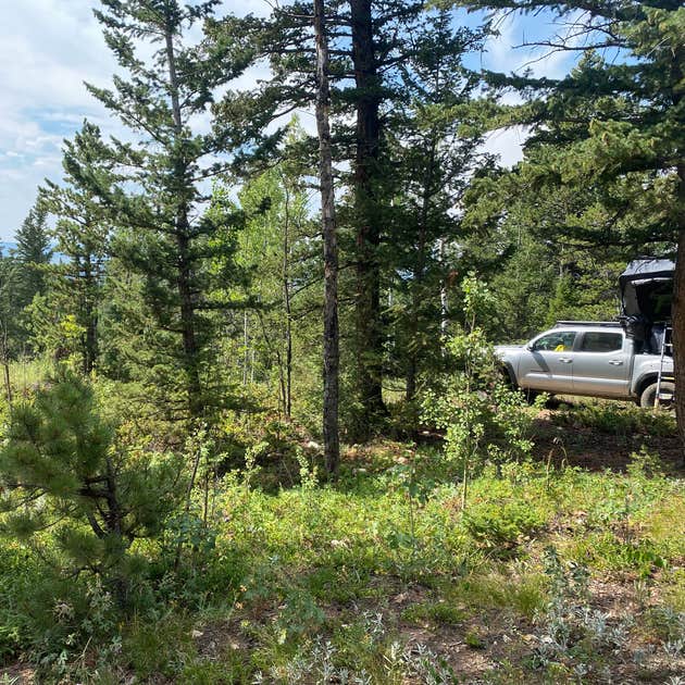 Gordon Gulch Dispersed Camping II | Nederland, Colorado