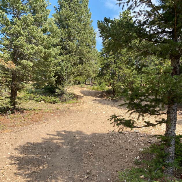 Gordon Gulch Dispersed Camping II | Nederland, Colorado