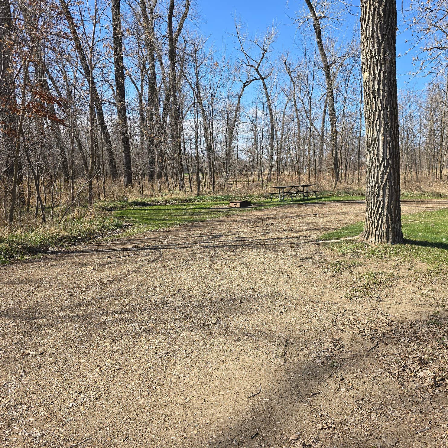 Governors Centennial Loop Campground — Cross Ranch State Park | Hensler ...
