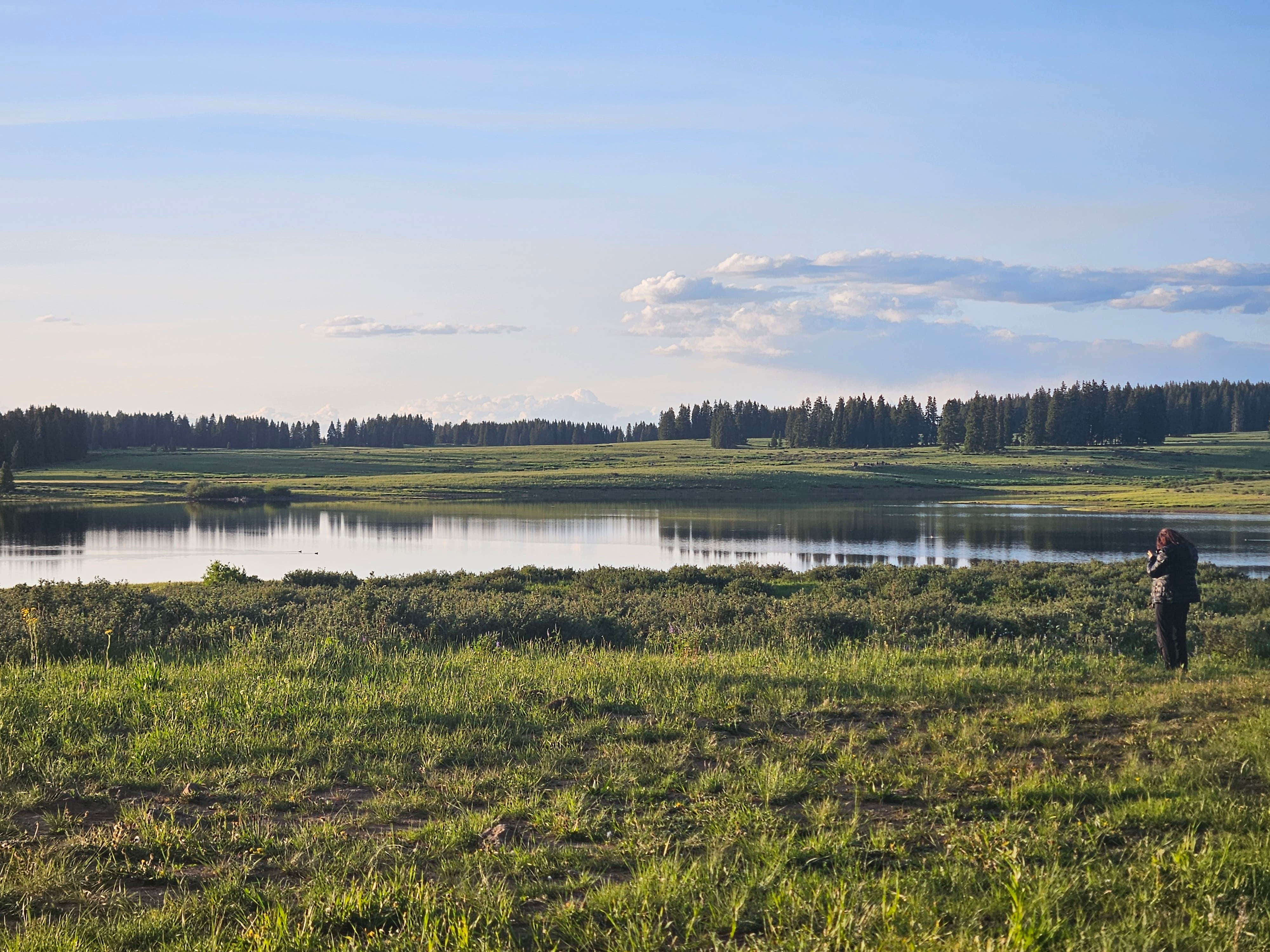 Grand Mesa FS 105 Dispersed Camping | Mesa Lakes, Colorado