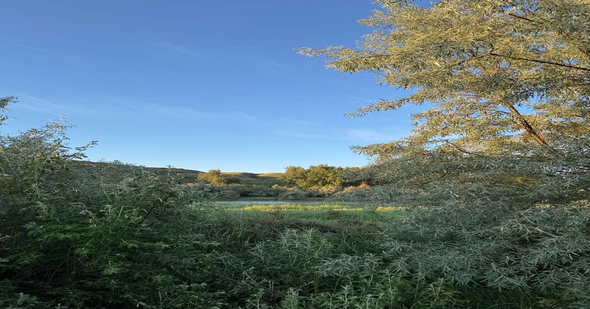 Grant Marsh Camping | Hardin, Montana