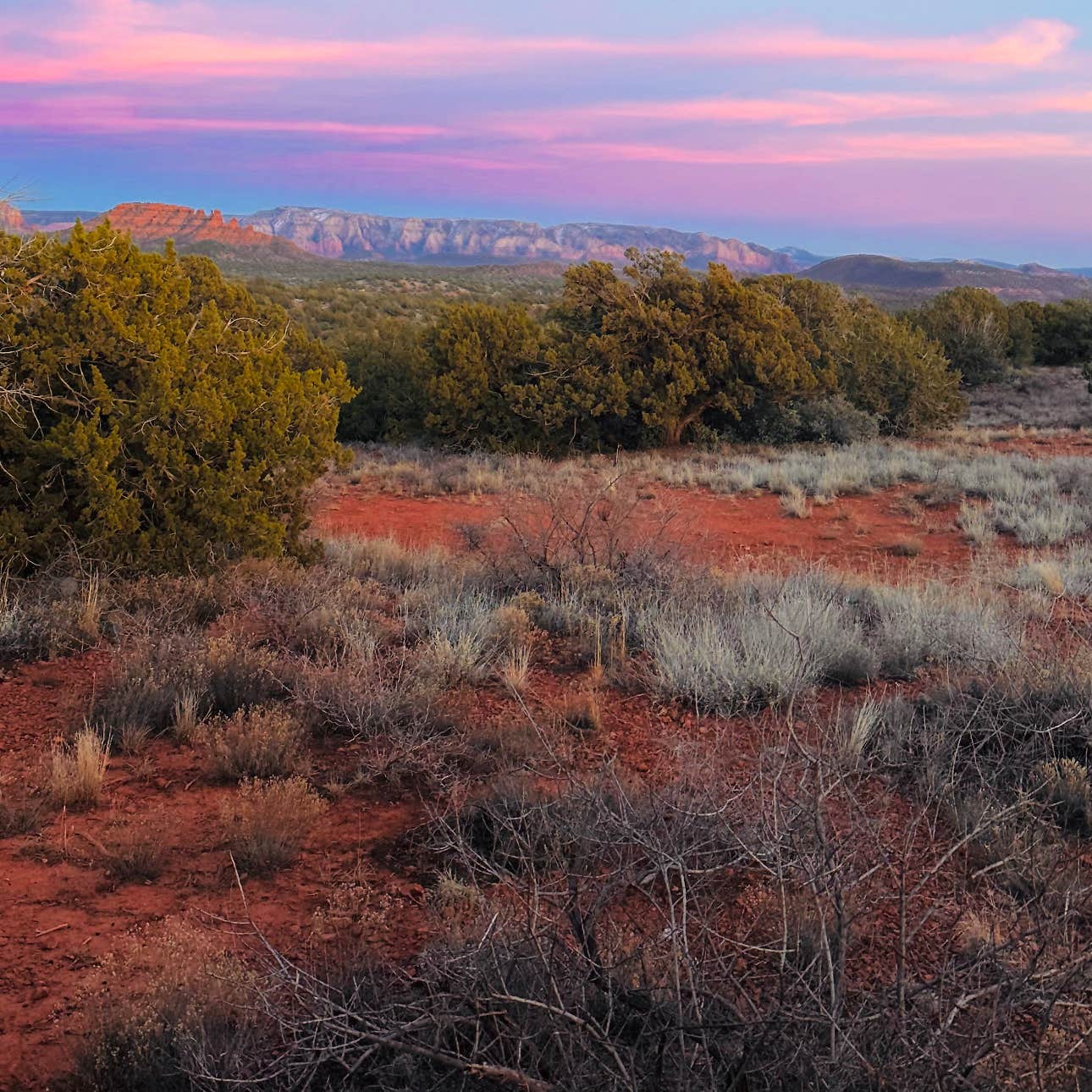 Greasy Spoon Dispersed Area Camping | Sedona, AZ