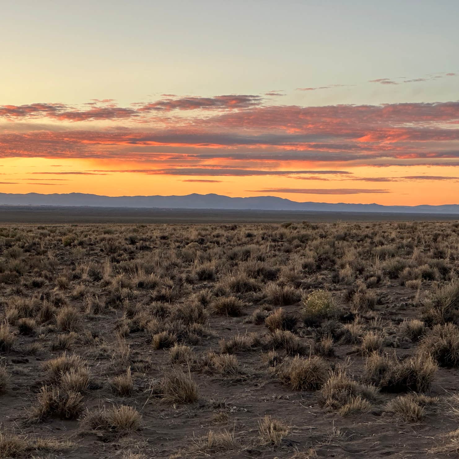 Great Sand Dunes Dispersed | Blanca, CO