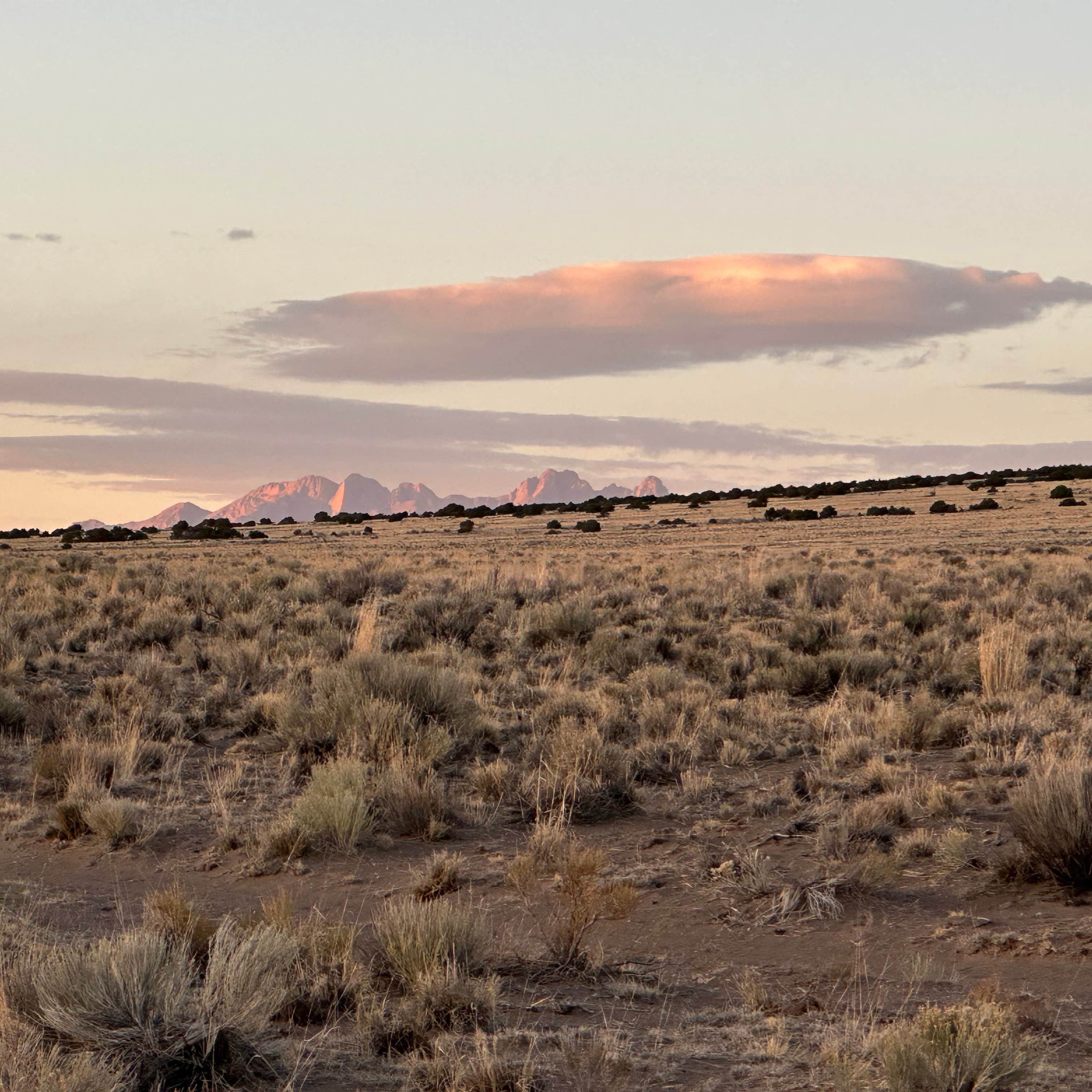 Great Sand Dunes Dispersed Camping | Blanca, CO
