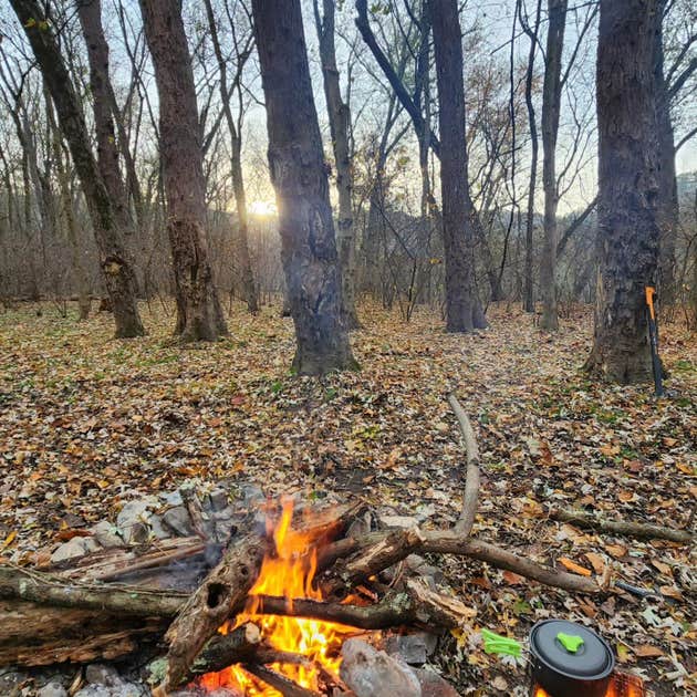 Green Ridge State Forest Camping | Flintstone, MD