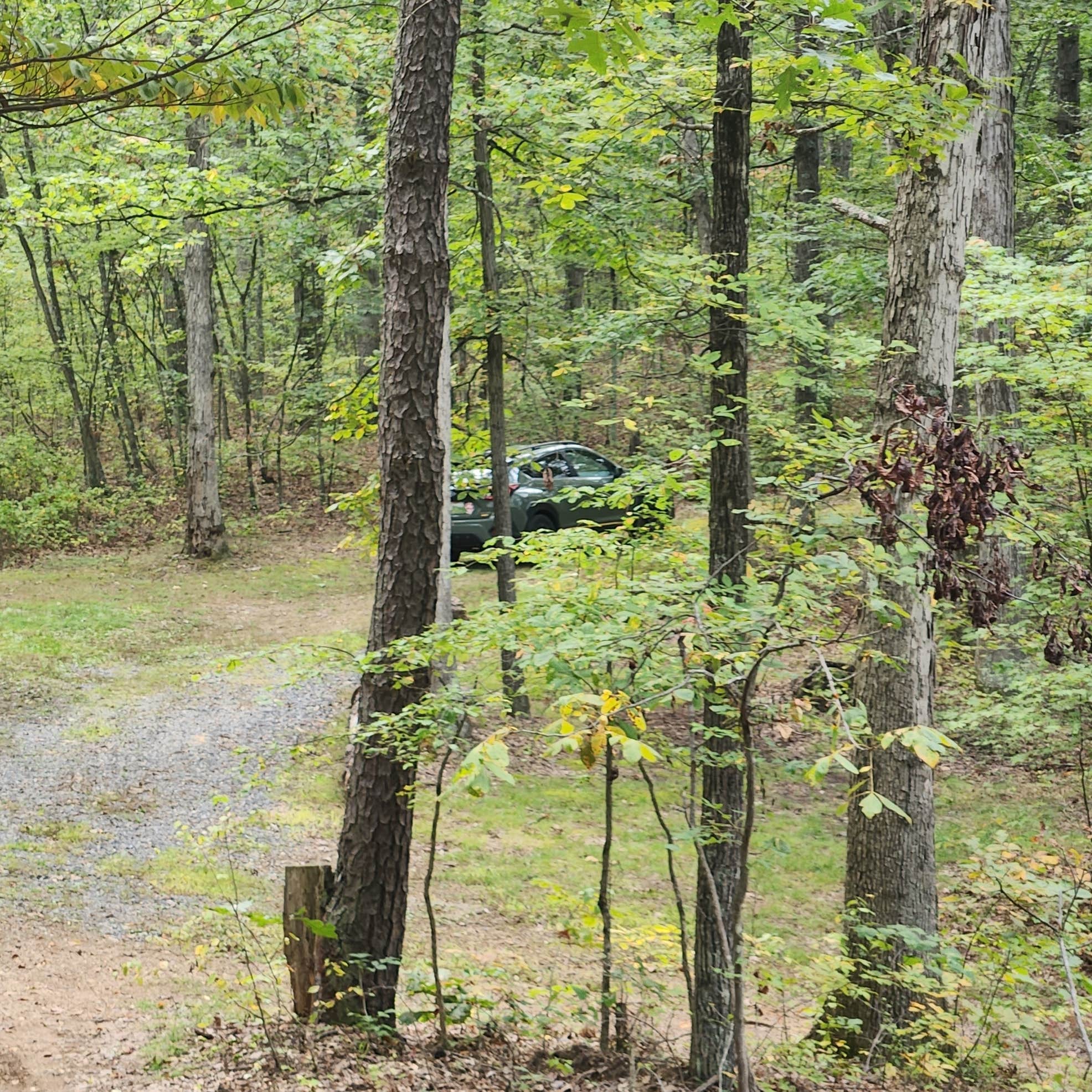 Green Ridge State Forest Camping | Flintstone, MD
