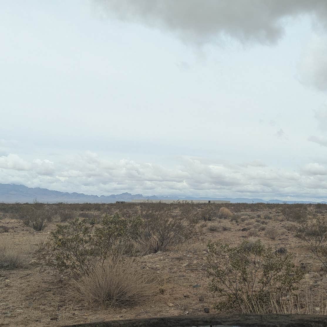 Griffith Road Camping | Yucca, Arizona