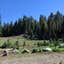 Grouse Ridge Campground | Emigrant Gap, California