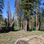 Grouse Ridge Campground | Emigrant Gap, CA