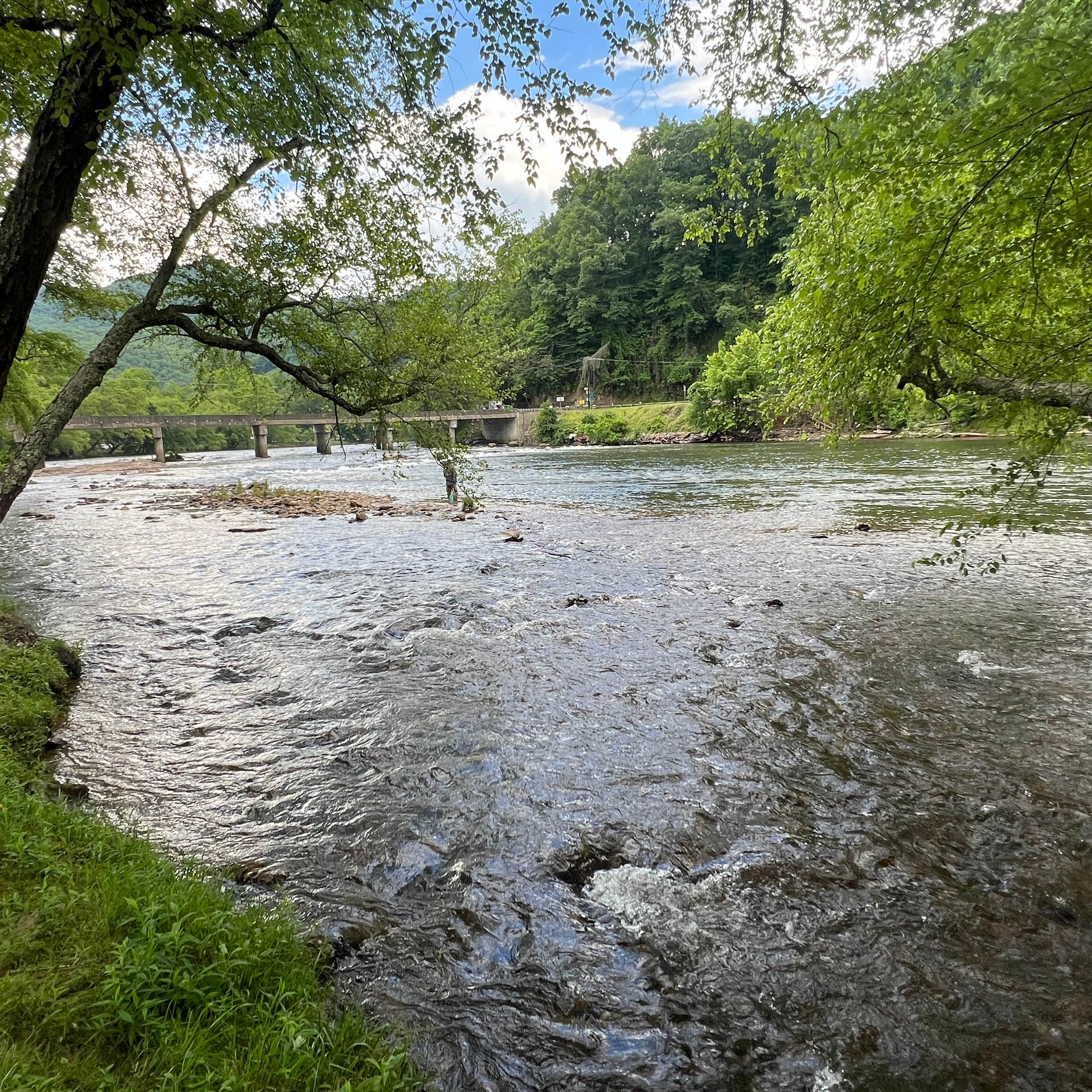 Grumpy Bear Campground | Bryson City, North Carolina