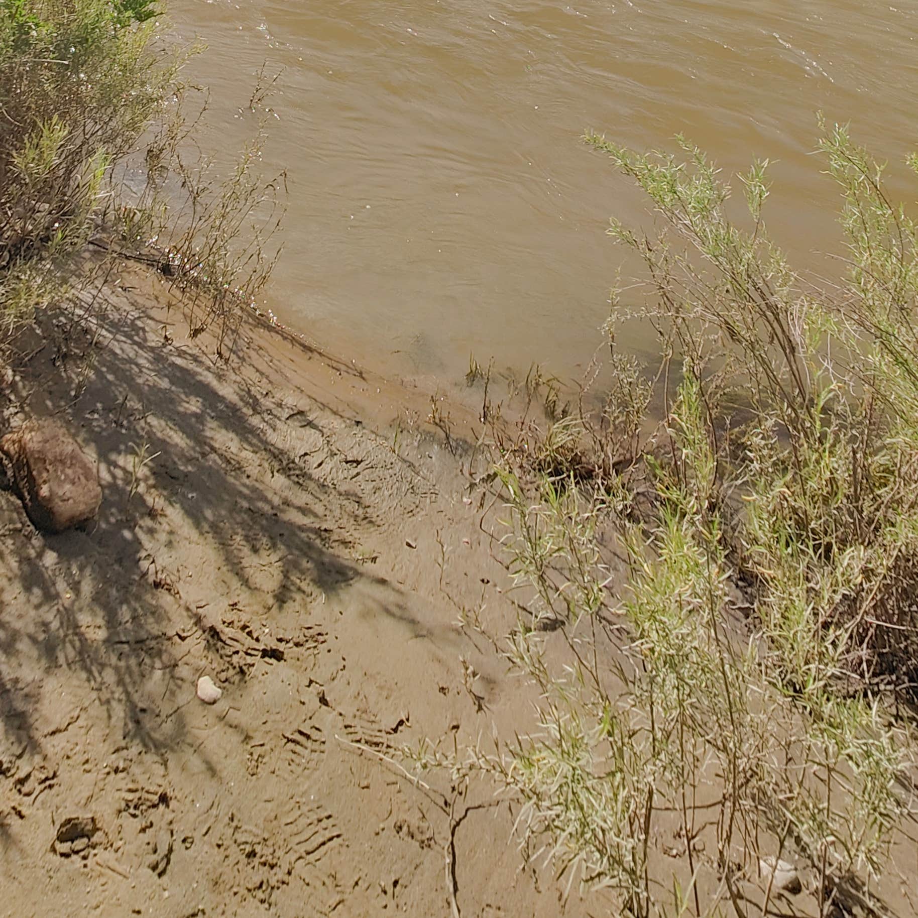Dispersed River Site - Gunnison Gorge National Conservation Camping ...