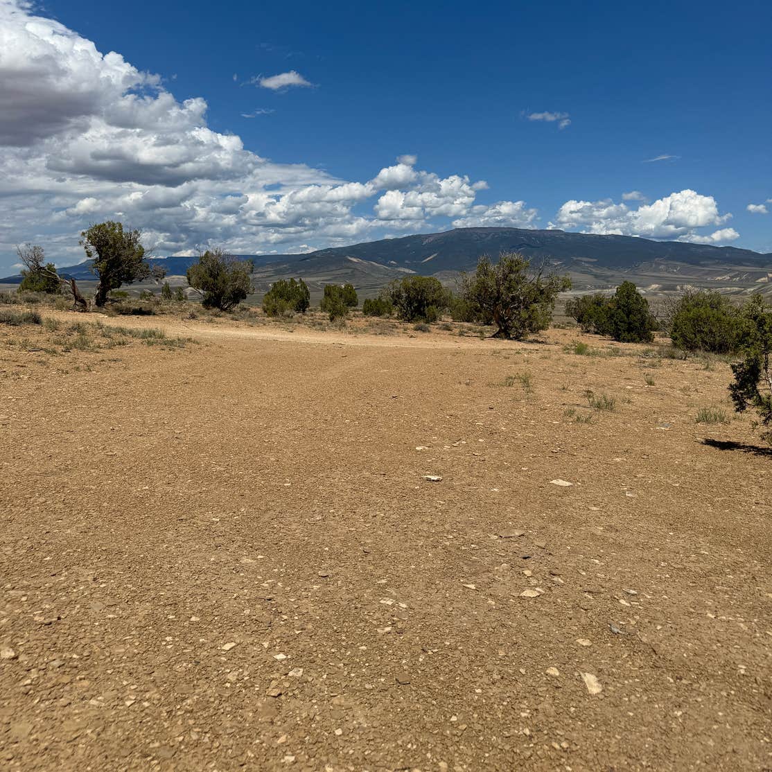 Gunnison River Overlook Camping | Delta, Colorado
