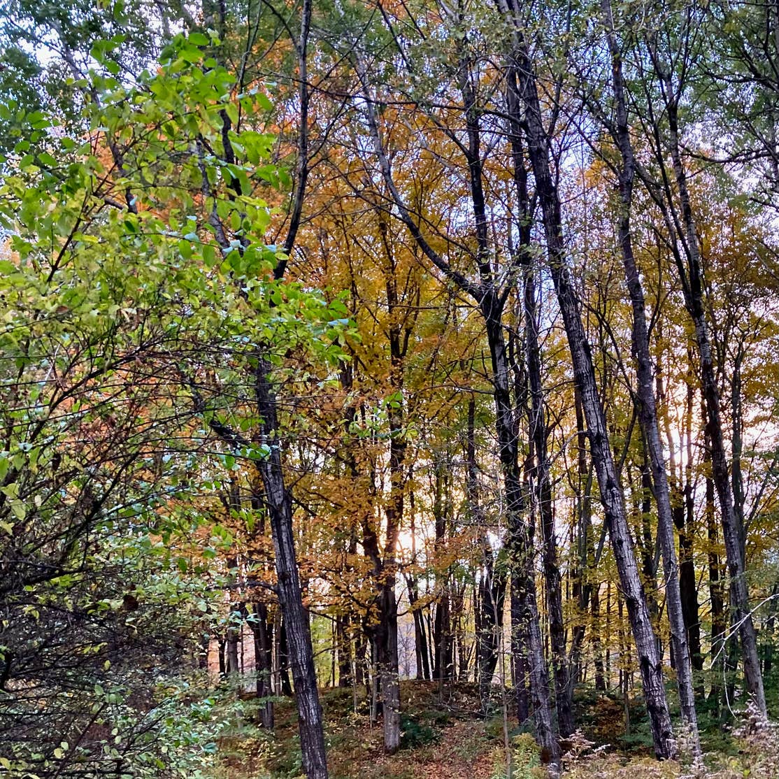Hanging Bog Big Bass Serenity Camp | Belfast, New York