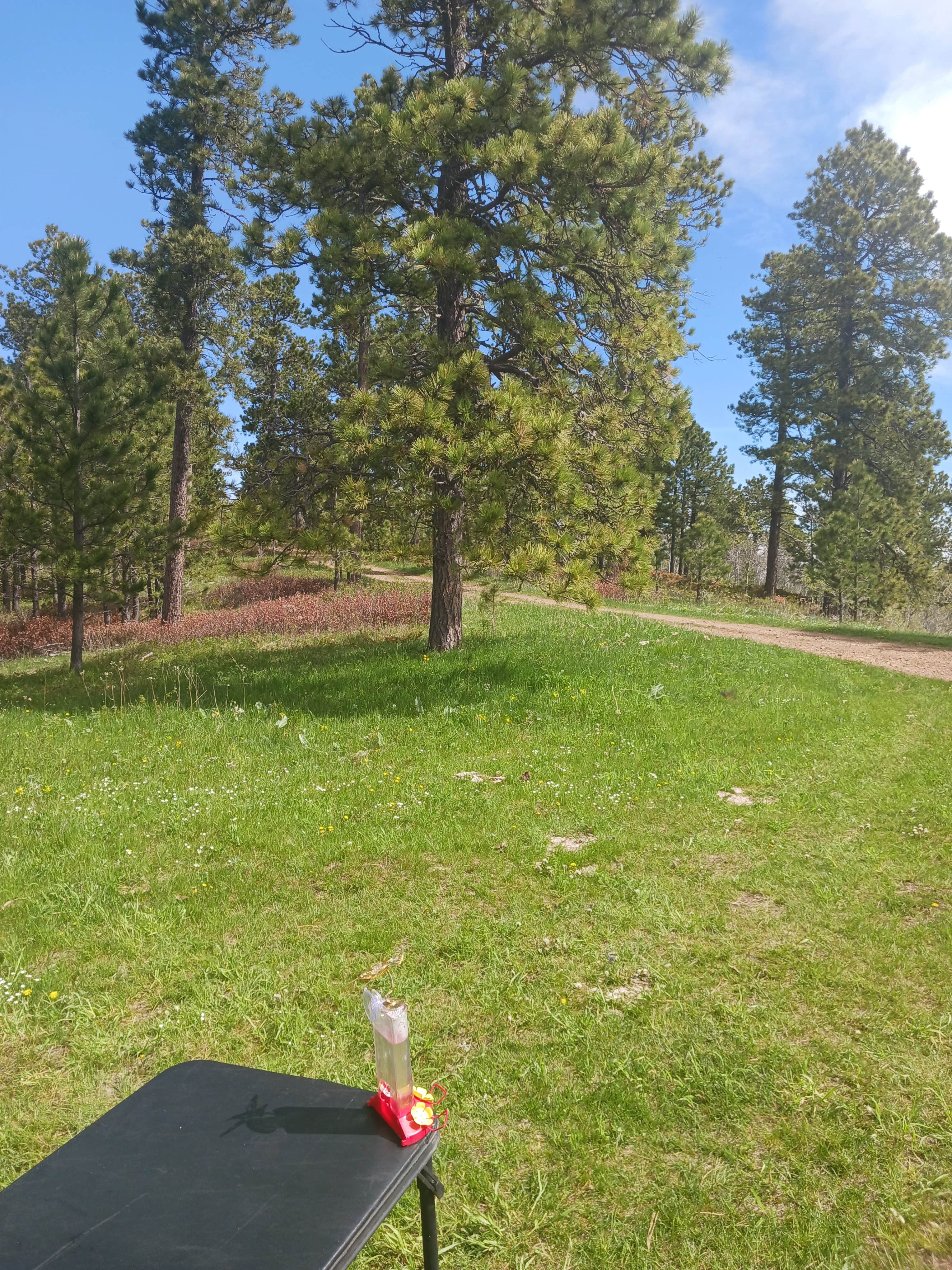 Hartman Rock Dispersed Site Camping | Sundance, WY