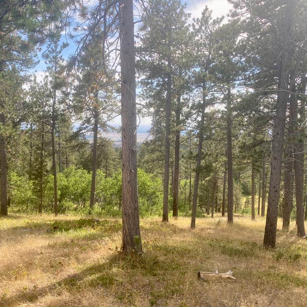 Hartman Rock Dispersed Site Camping | Sundance, Wyoming