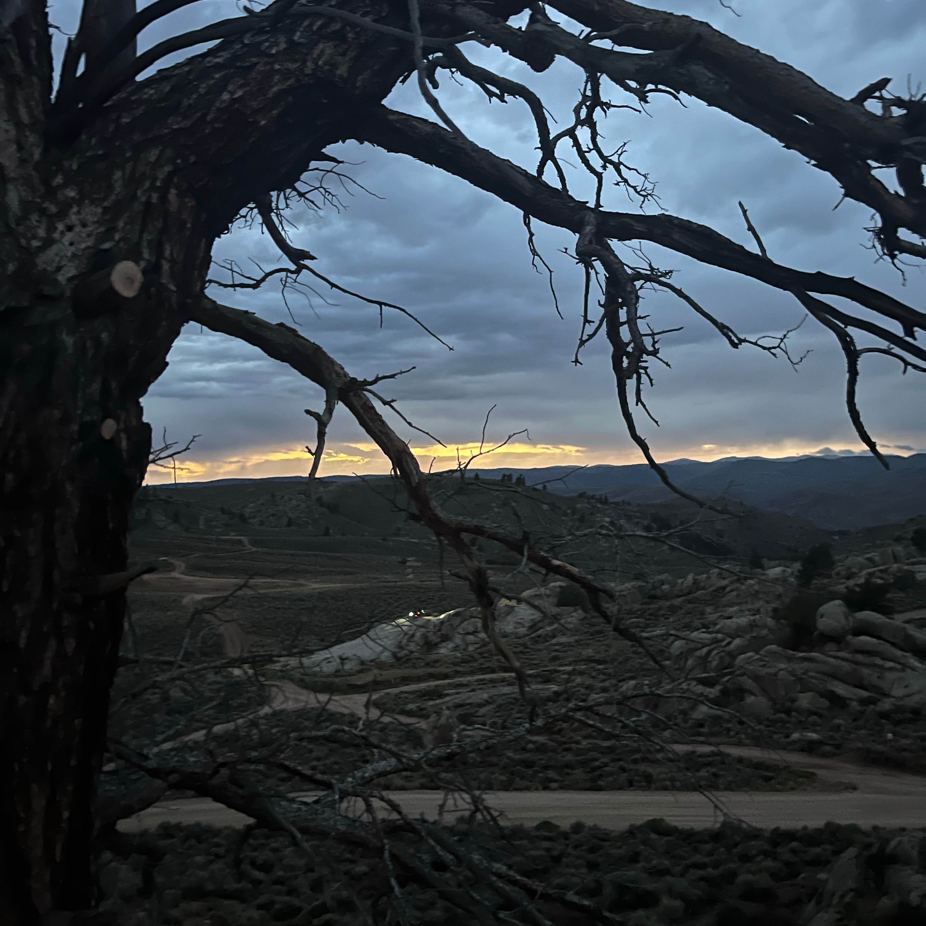 Hartman Rocks Recreation Area Camping | Gunnison, Colorado