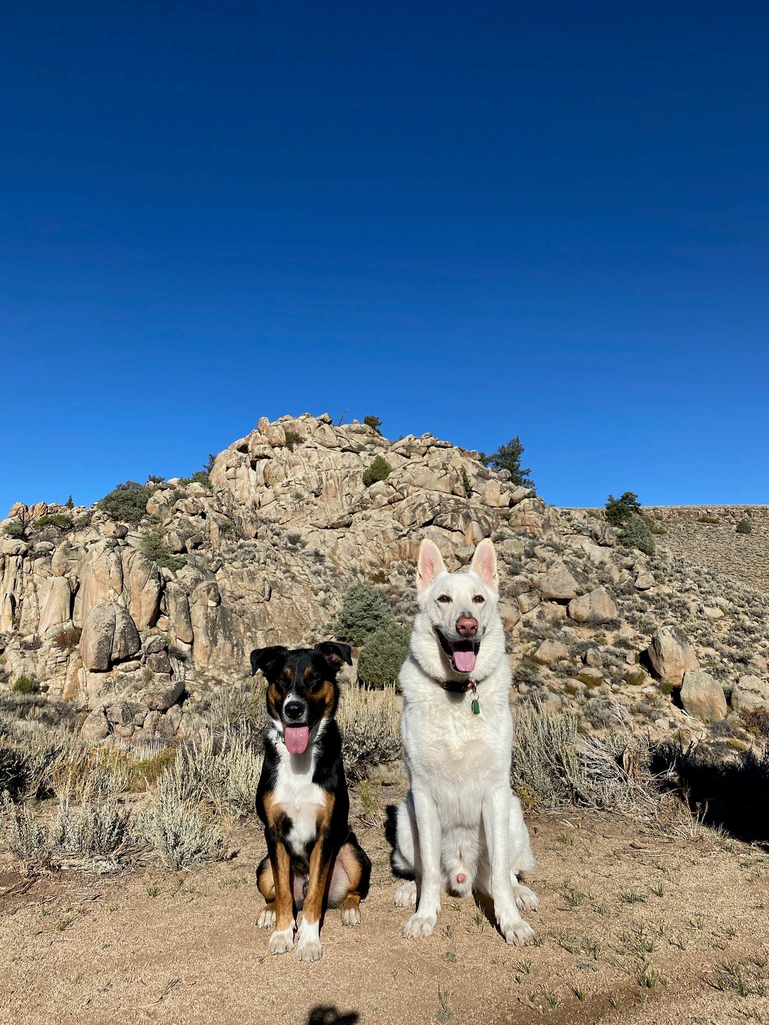 Hartman’s Rocks Dispersed Site Camping | Gunnison, CO