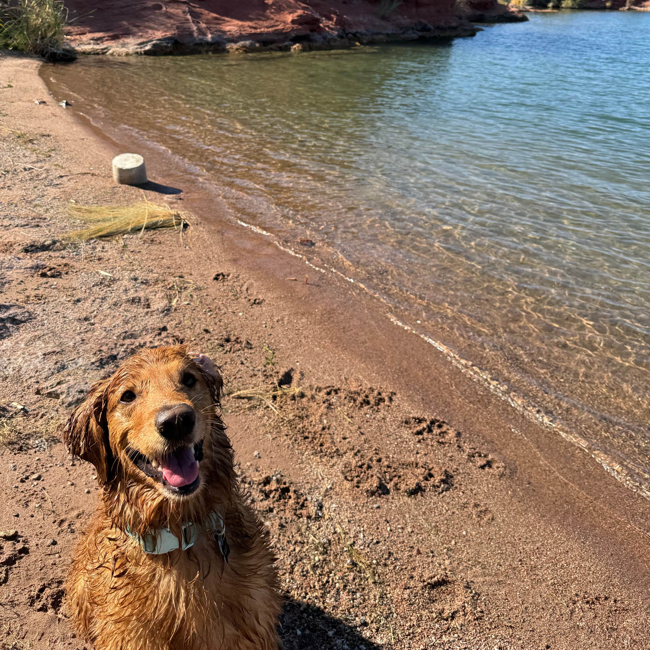 Havasu Springs Resort Camping | Parker Dam, California