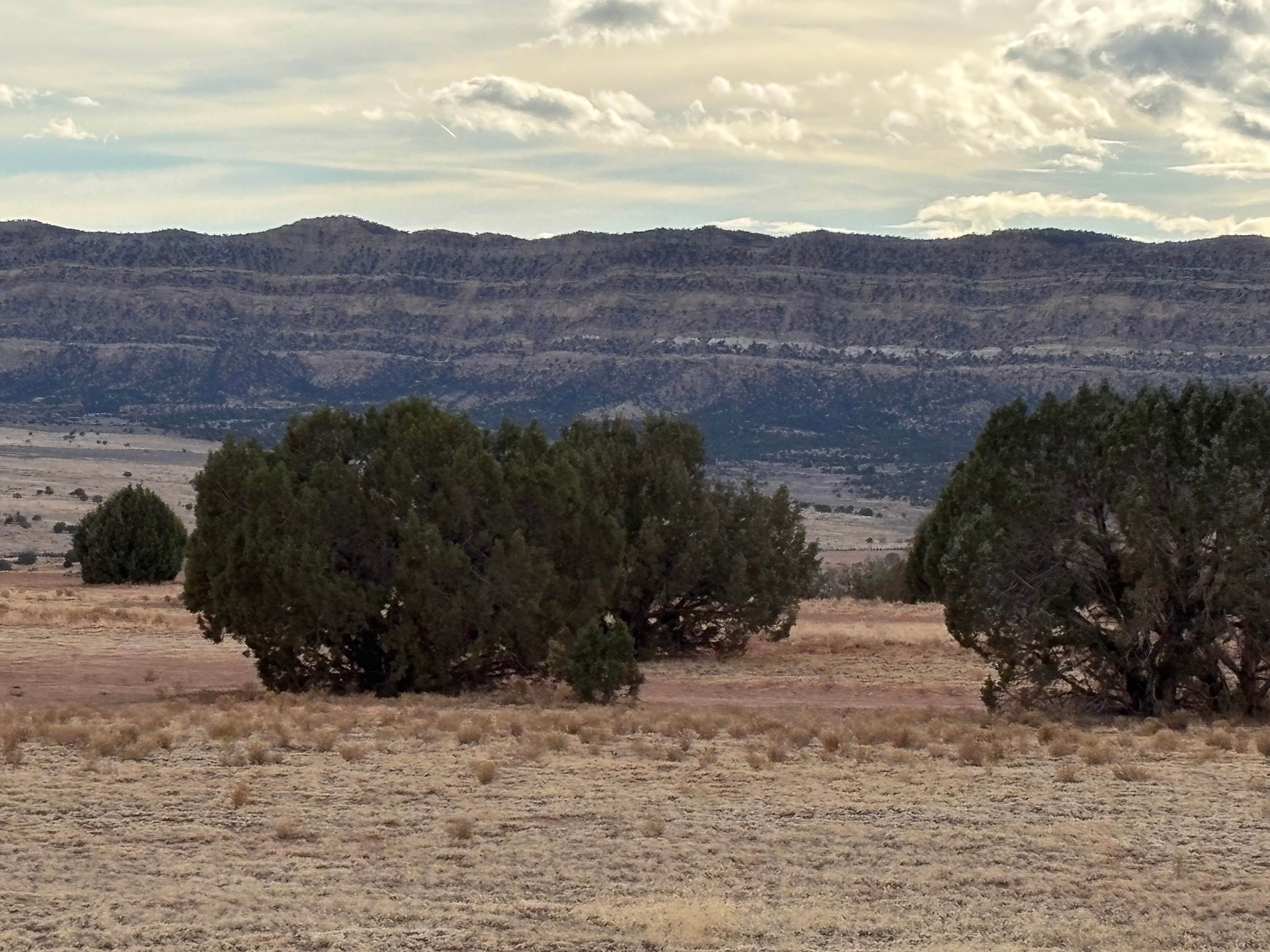 Top 10+ Dispersed Free Camping near Escalante, UT: BLM, USFS