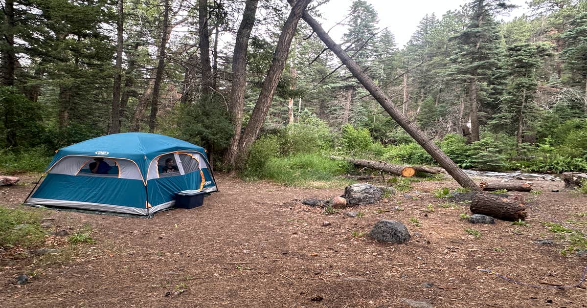 Hayden Creek Roadside Camp | Coaldale, Colorado