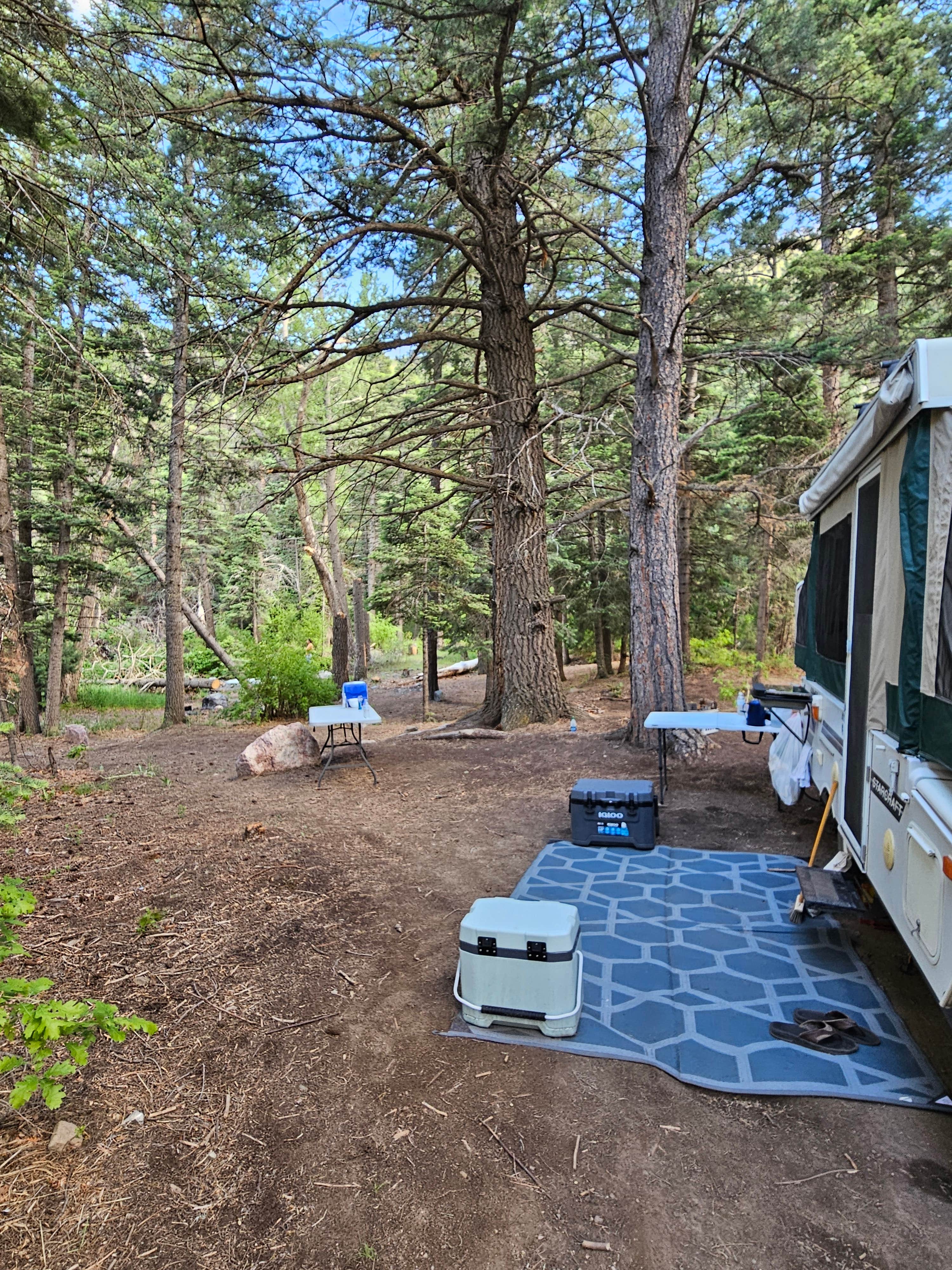 Hayden Creek Roadside Camp | Coaldale, CO