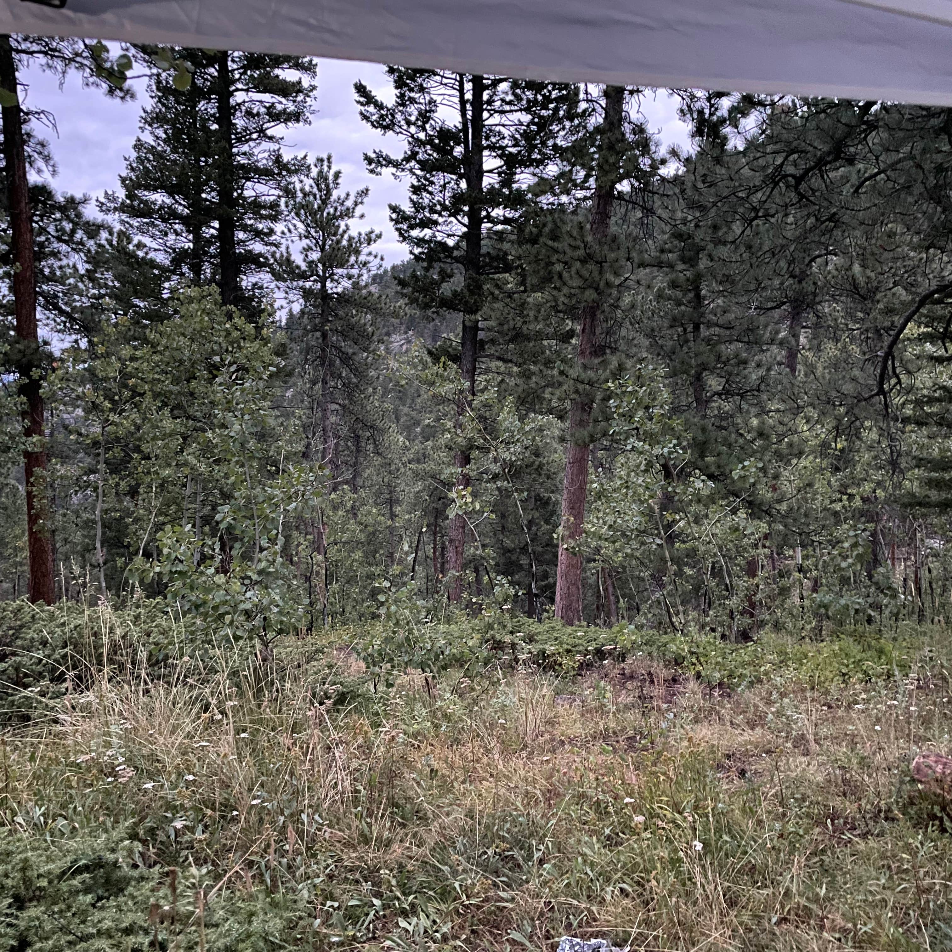 Hell Canyon Dispersed Camping | Pinewood Springs, CO