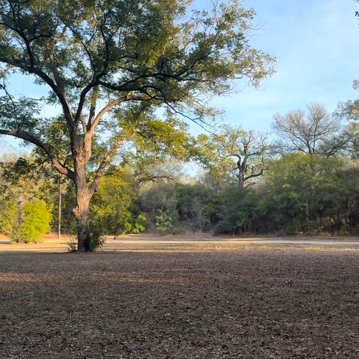 Helton Nature Park Camping | Floresville, Texas
