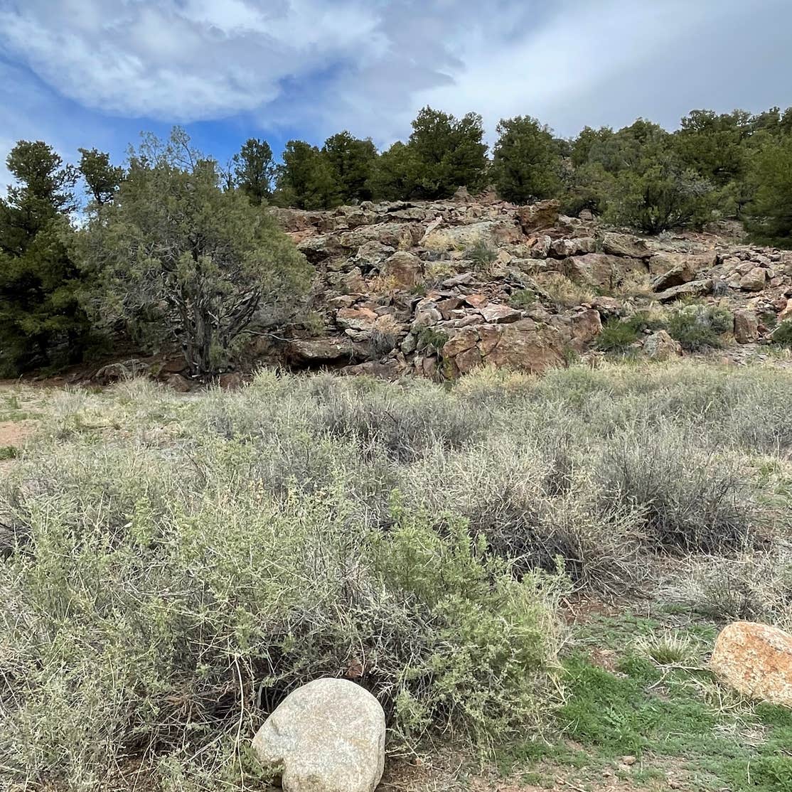 Hendricks Flat Camping | Nathrop, Colorado