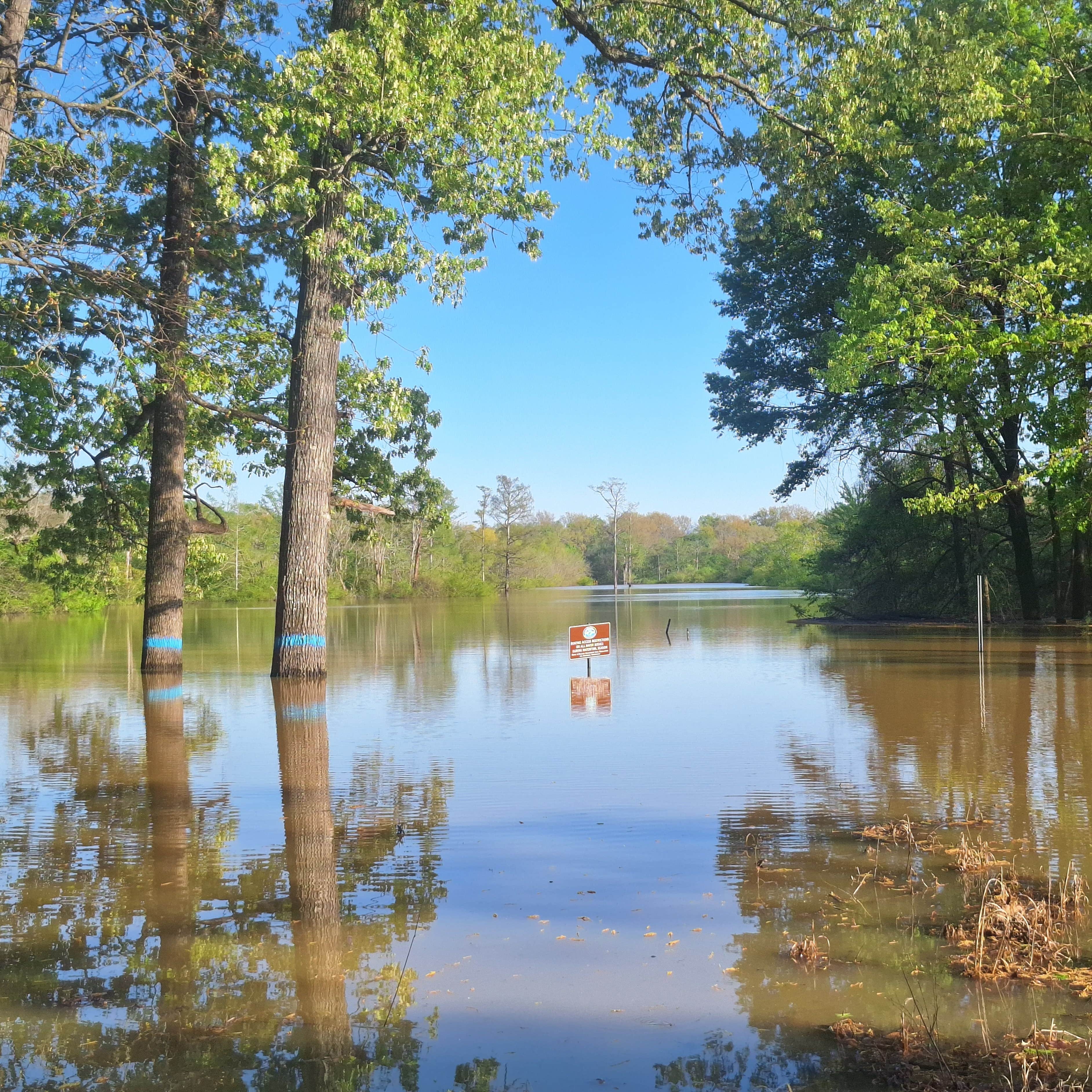 Henry Gray Hurricane Lake Wildlife Management Area Camping | Searcy ...
