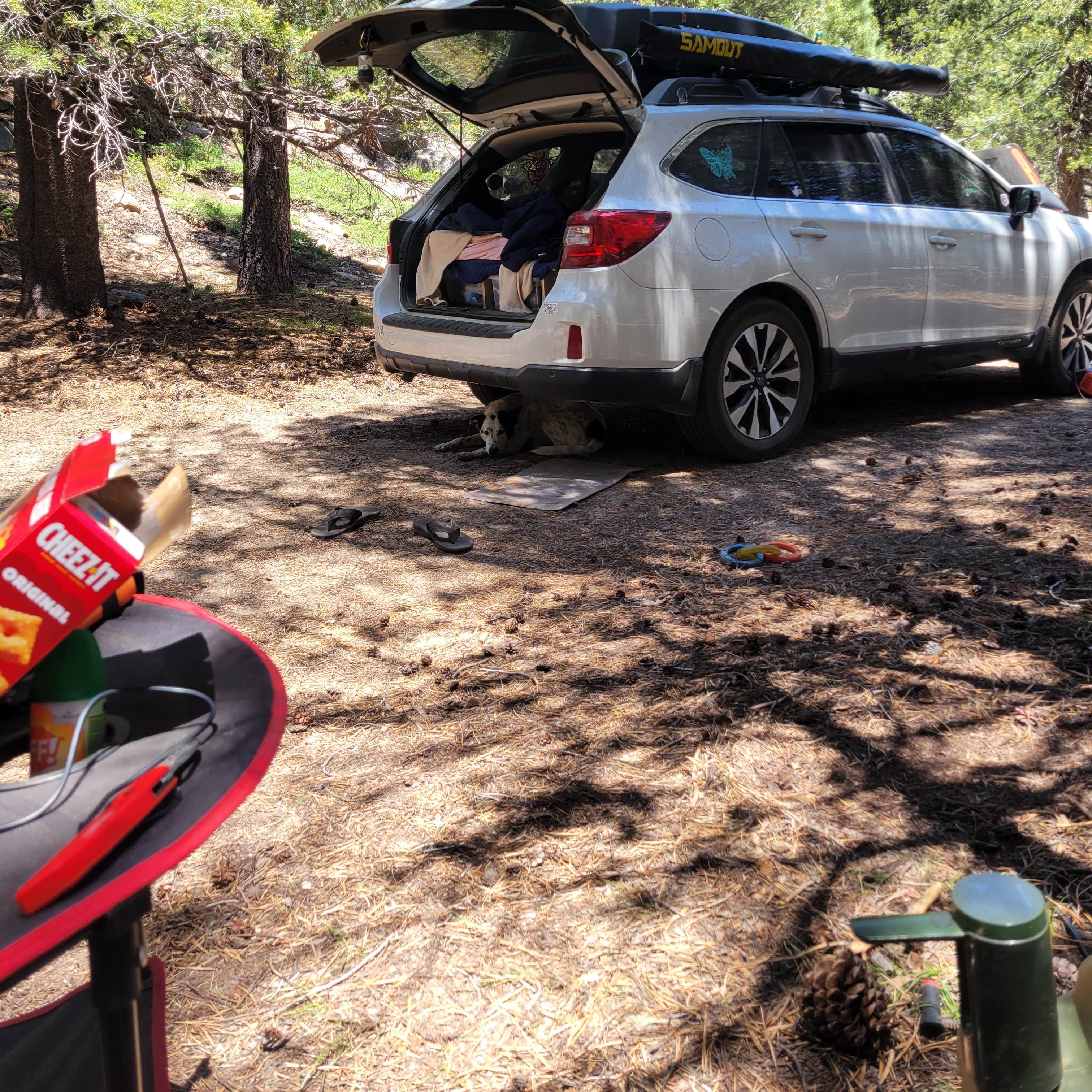 Hermit Valley Campground | Bear Valley, California