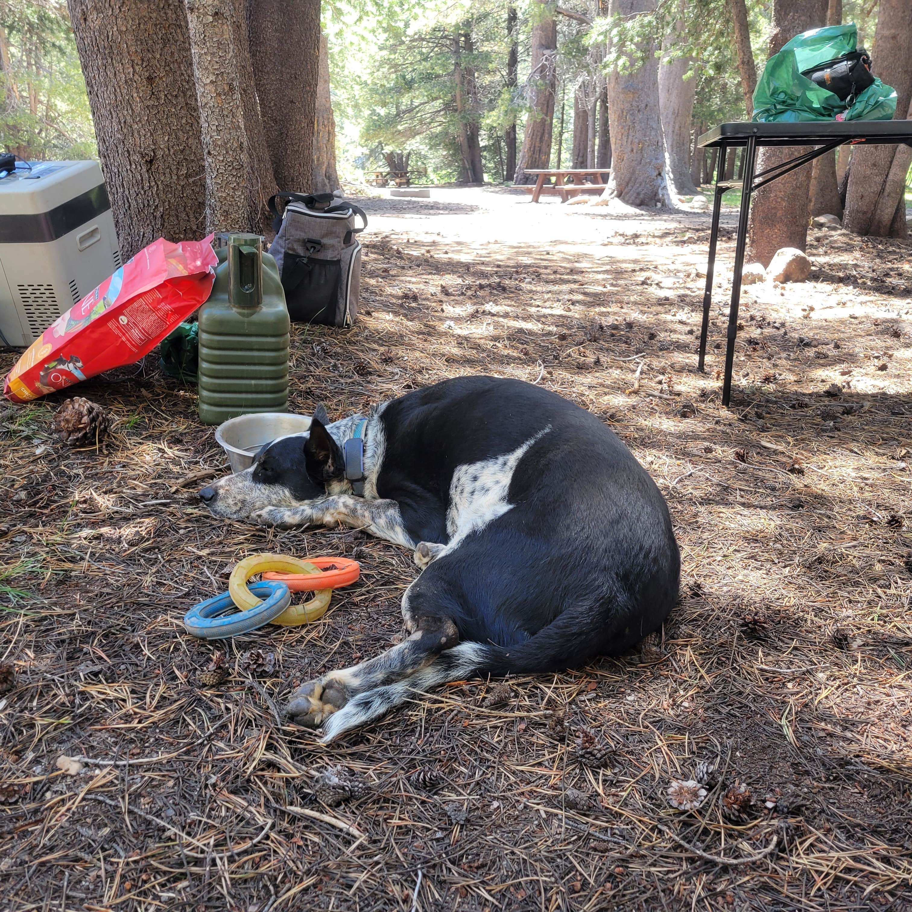 Hermit Valley Campground | Bear Valley, California